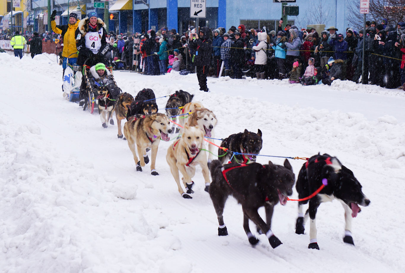 Who Was The Father Of The Iditarod? - A Life of Dogs