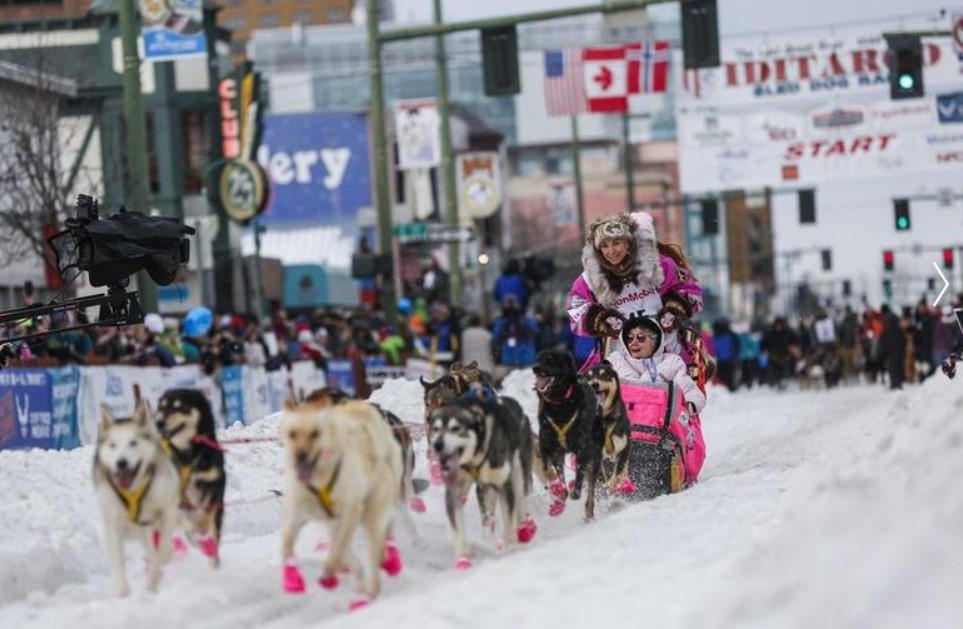 The Inspiring Story of DeeDee Jonrowe - A Life of Dogs