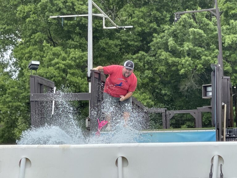 Dock Diving: What You Need To Know - A Life of Dogs